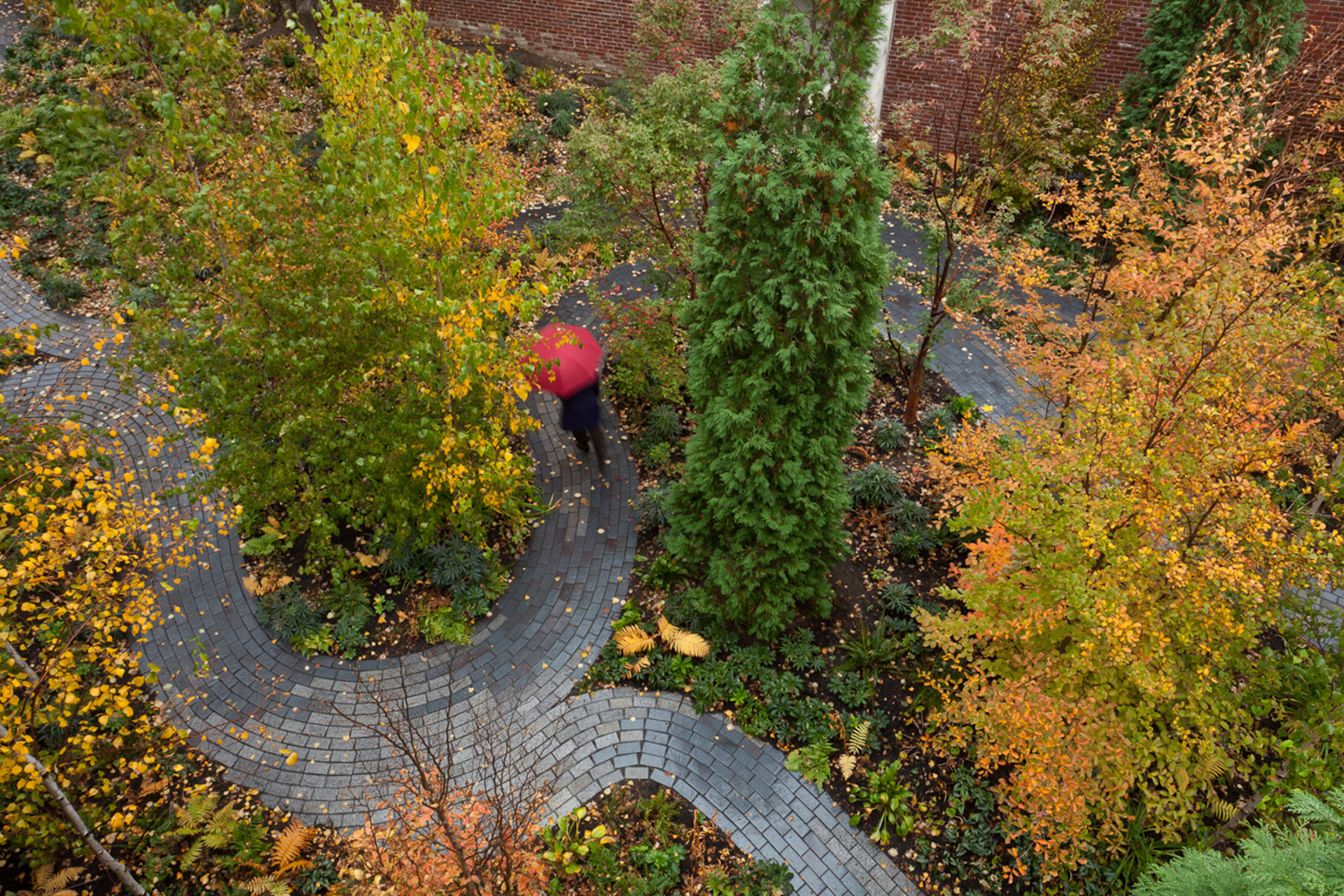 Monk's Garden - Elizabeth Felicella Photography
